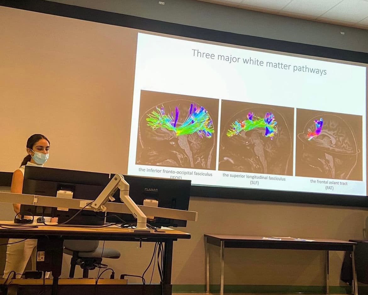 Brain3DViz - Neurosurgery, Neuroimaging, Visualization Simulation